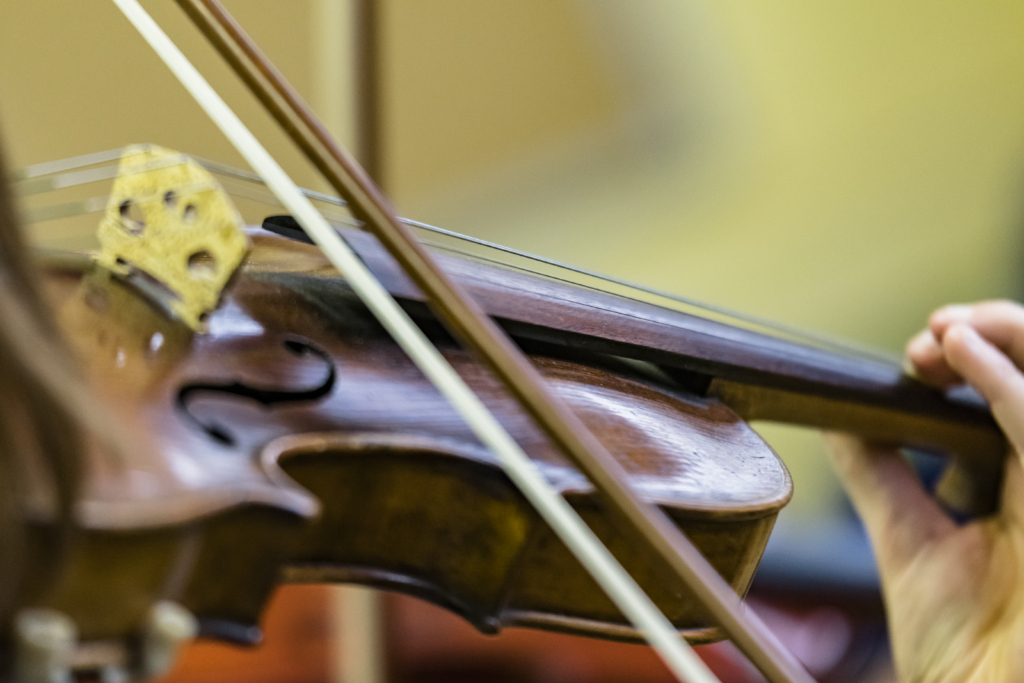 VIOLON-ALTO - Académie de Musique et de Danse de la Botte du Hainaut